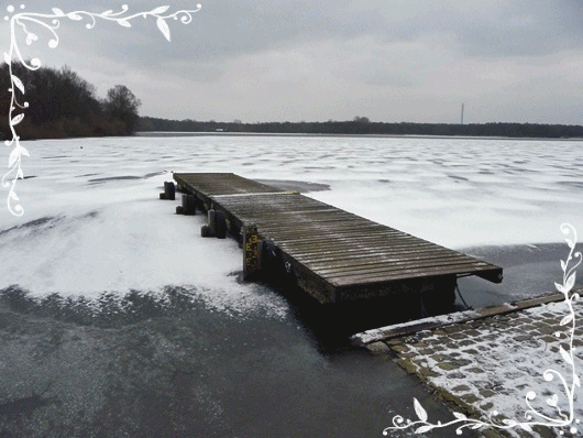 GIF ein - animated GIF on GIFER