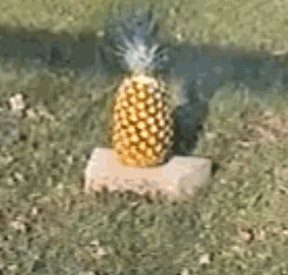 Pineapple GIF - Find on GIFER