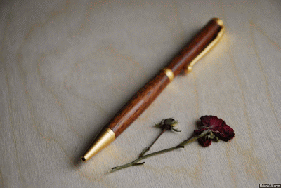 Stories pen pineapple apple pen sheer GIF - Find on GIFER