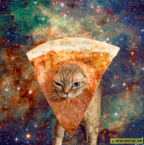 Food pizza kitchen GIF - Find on GIFER