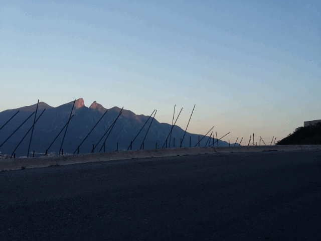 Ozzy steezy GIF - Find on GIFER