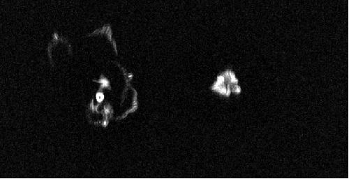 GIF mri art science - animated GIF on GIFER