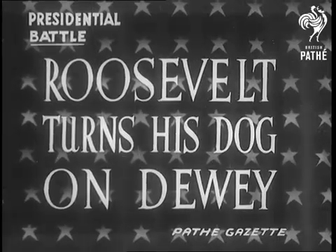 History fdr british pathe GIF - Find on GIFER