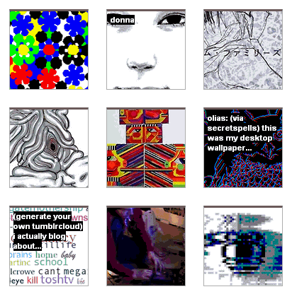 GIF niko plez siobhan - GIF animado en GIFER