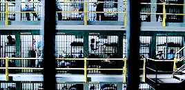 Prison break gtkm michael scofield GIF - Find on GIFER