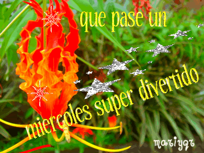 Lindo GIF - Find on GIFER