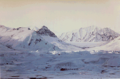 GIF arctic - animated GIF on GIFER
