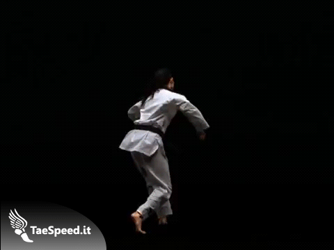 Taekwondo GIF - Find on GIFER
