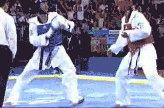 Taekwondo GIF - Find on GIFER