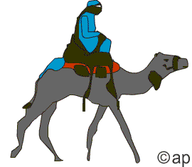 Entomology GIF - Find on GIFER