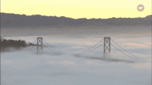 GIF news california nowthis - animated GIF on GIFER