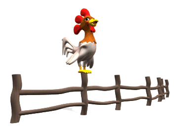 Rooster GIF - Find on GIFER