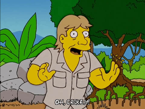 Steve irwin crocodile biting GIF - Find on GIFER