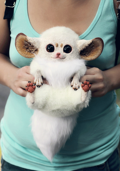 Animal GIF - Find on GIFER