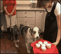 GIF panic panic attack bleach boys - animated GIF on GIFER