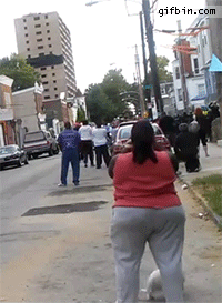 Demolition dog GIF - Find on GIFER