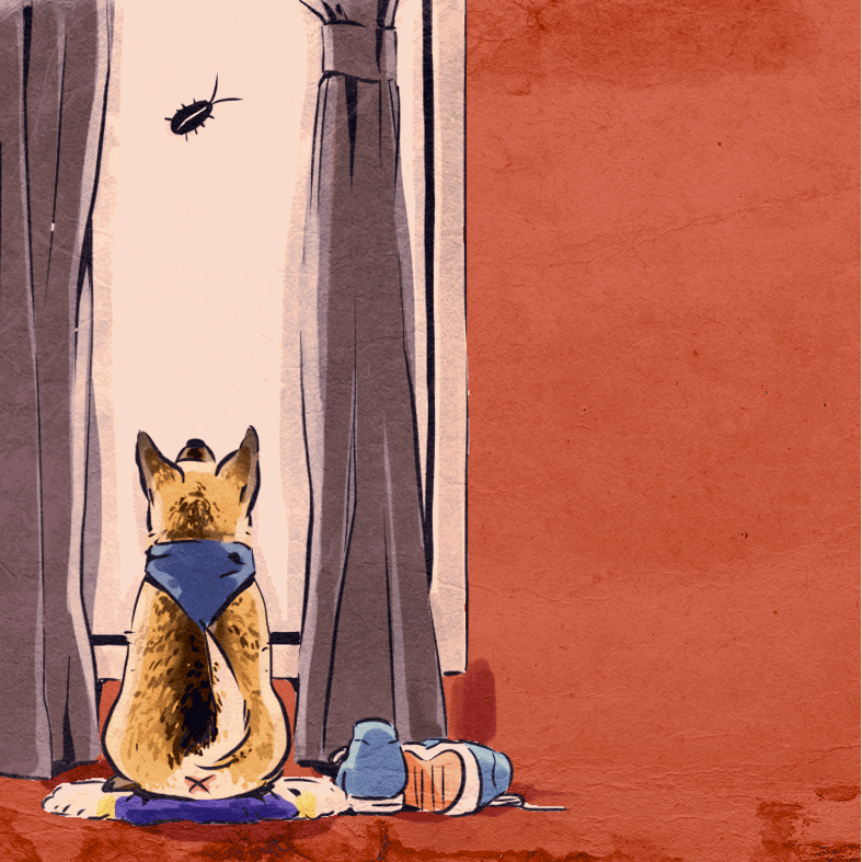 Dog bacon percolate galactic GIF - Find on GIFER