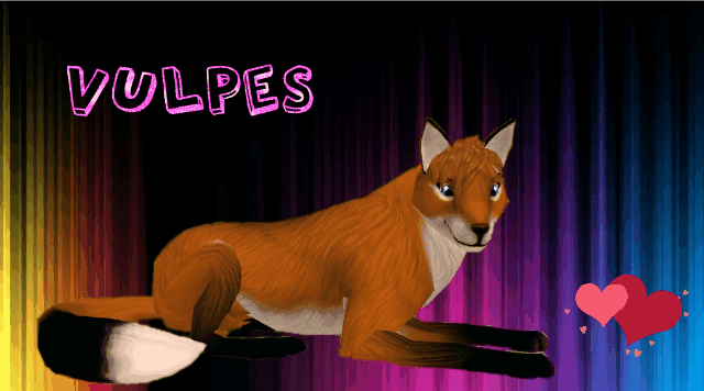 Fluff GIF - Find on GIFER