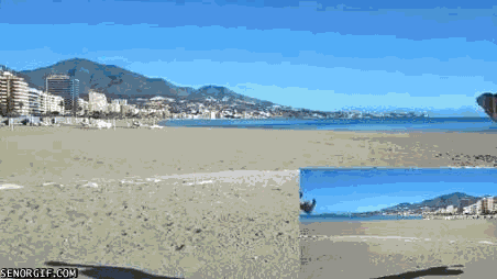 GIF kickin - animated GIF on GIFER