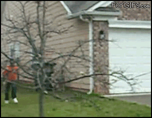 Fail gymnastics GIF - Find on GIFER