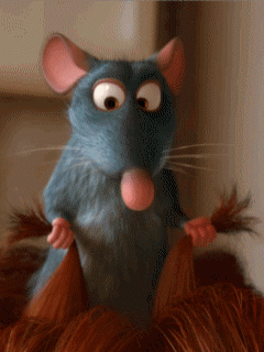 Rat GIF - Find on GIFER