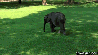 Run series GIF - Find on GIFER