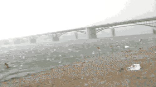 Russia GIF - Find on GIFER