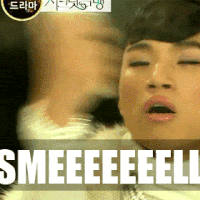 Party stickers highlander GIF - Find on GIFER