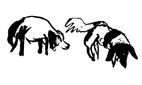 Sniff GIF - Find on GIFER