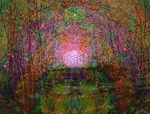 GIF form - animated GIF on GIFER