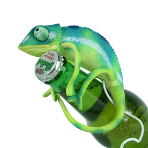 Chameleon GIF - Find on GIFER