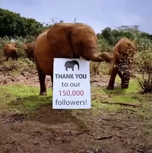 Perks Of Being A Wallflower Tumblr Gif