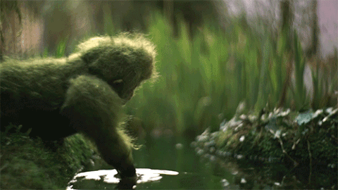 Ape GIF - Find on GIFER