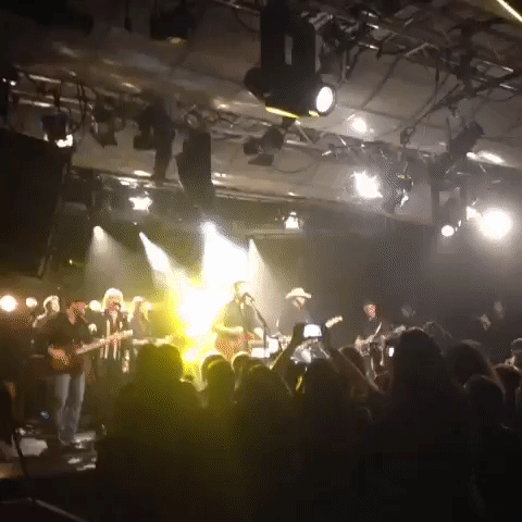 Honeybee GIF - Find on GIFER