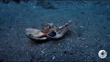 Delete GIF - Encontrar en GIFER