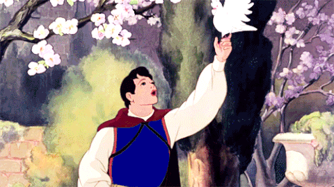 Cuttlefish Color Change Gif