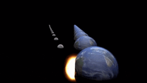 Destroy GIF - Find on GIFER