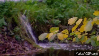 Pollution GIF - Find on GIFER