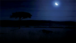 Rupaul Season 5 Gifs