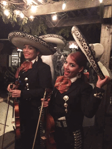 GIF oracle - animated GIF on GIFER