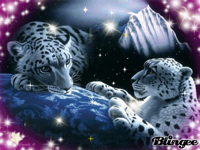 GIF leopard - animated GIF on GIFER