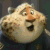 Clawhauser deviantart zootopia GIF - Find on GIFER