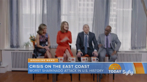 Today show GIF - Find on GIFER