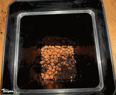 The strain GIF - Find on GIFER