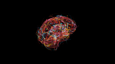 Brain states GIF - Find on GIFER