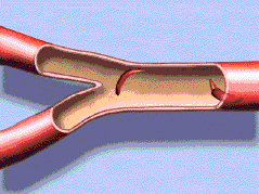 Nona GIF - Find on GIFER