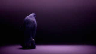 Well done congrats work GIF - Find on GIFER