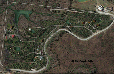 GIF path - animated GIF on GIFER