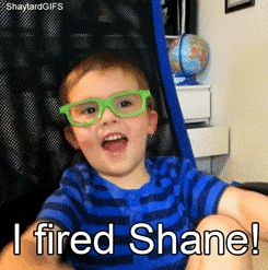 Shaytards GIF - Find on GIFER