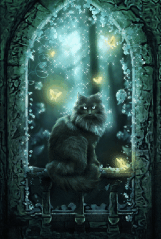 Noir77 GIF - Find on GIFER